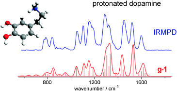 Infrared spectroscopy of protonated neurotransmitters: dopamine ...